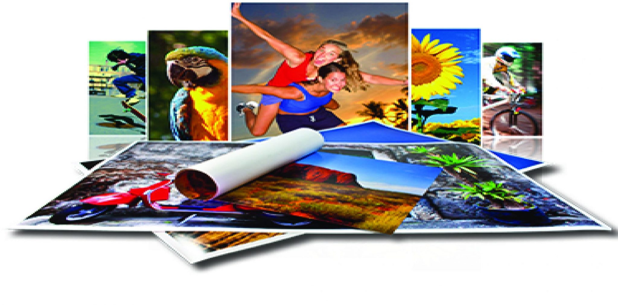 Posters - Eastbourne Signs - Signs - Printing - Branding